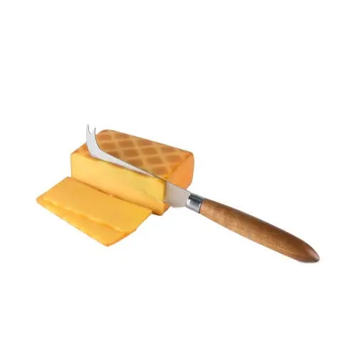 TWINE Hard Cheese Knife