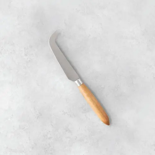 TWINE Hard Cheese Knife