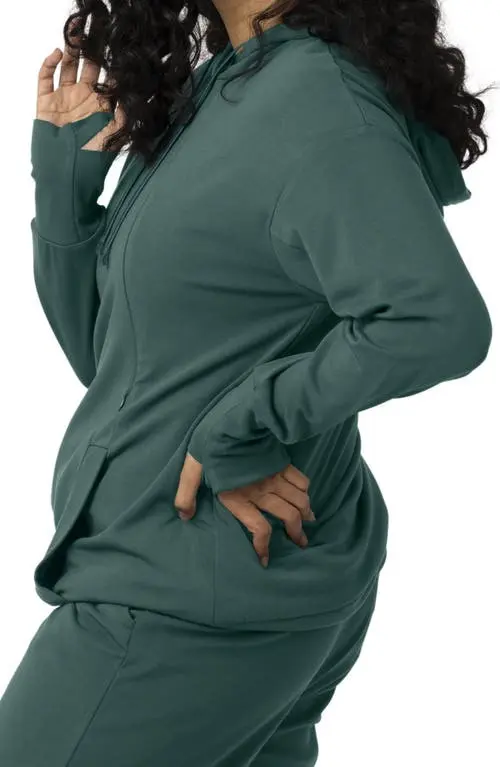 KINDRED BRAVELY Maternity And Nursing Hoodie