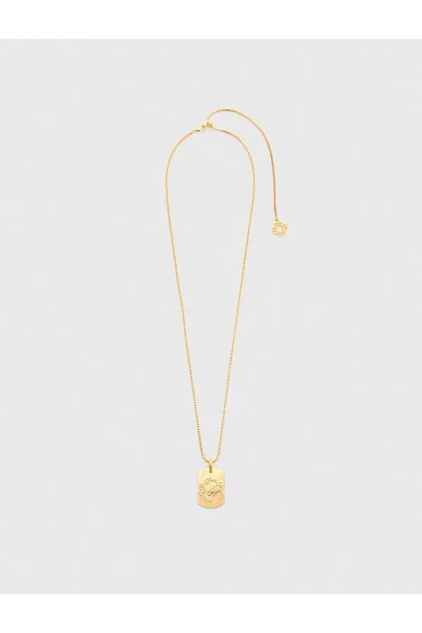 Maje Zodiac Sign Plaque Necklace - Gold