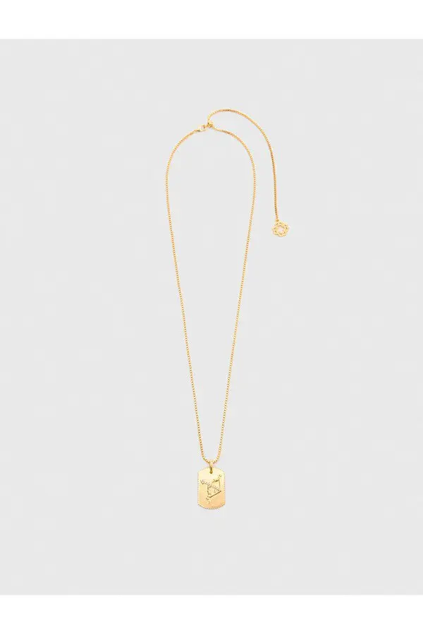 Maje Zodiac Sign Plaque Chain Necklace - Gold