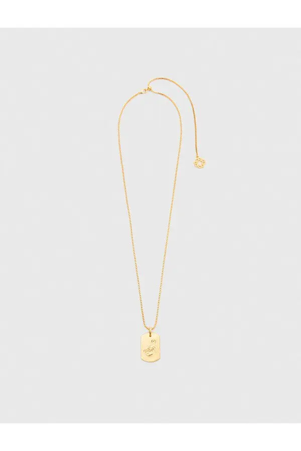Maje Zodiac Sign Plaque Necklace - Gold