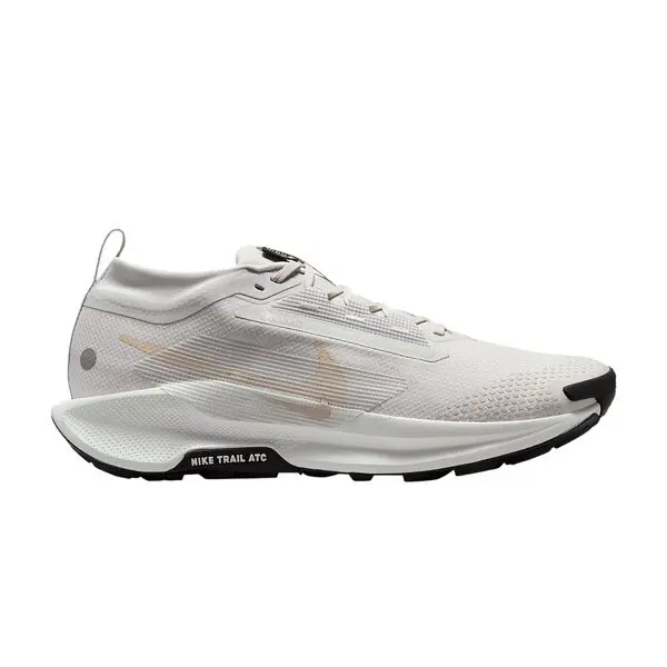 Nike Pegasus Trail 5 Gore-tex - Grey