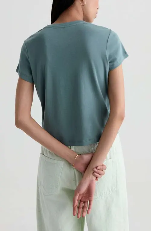 Ag Sadie Crop T-shirt - Cheers Hour