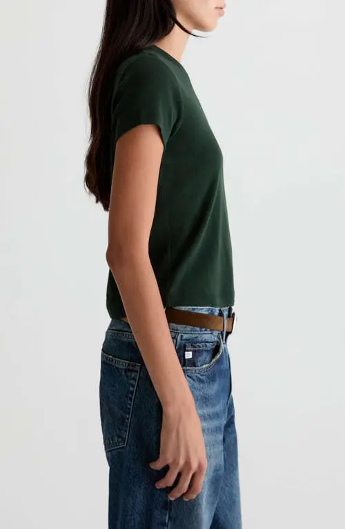 Ag Sadie Crop T-shirt - Pine