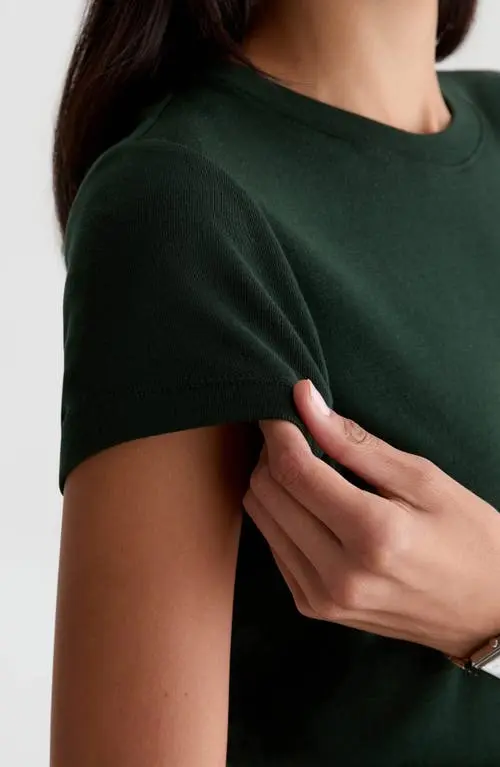 Ag Sadie Crop T-shirt - Pine