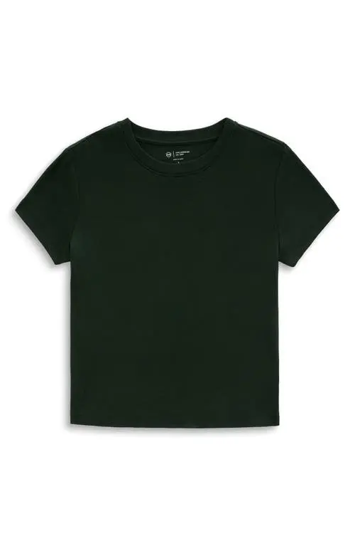 Ag Sadie Crop T-shirt - Pine