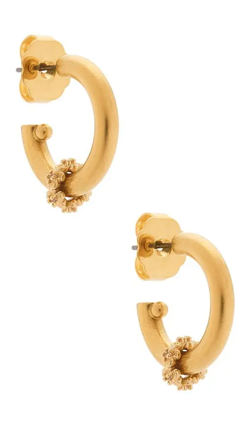 Brinker & Eliza Bay Hoops - Gold