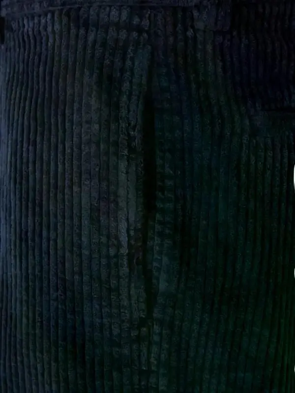 BERWICH Pleated Corduroy Trousers