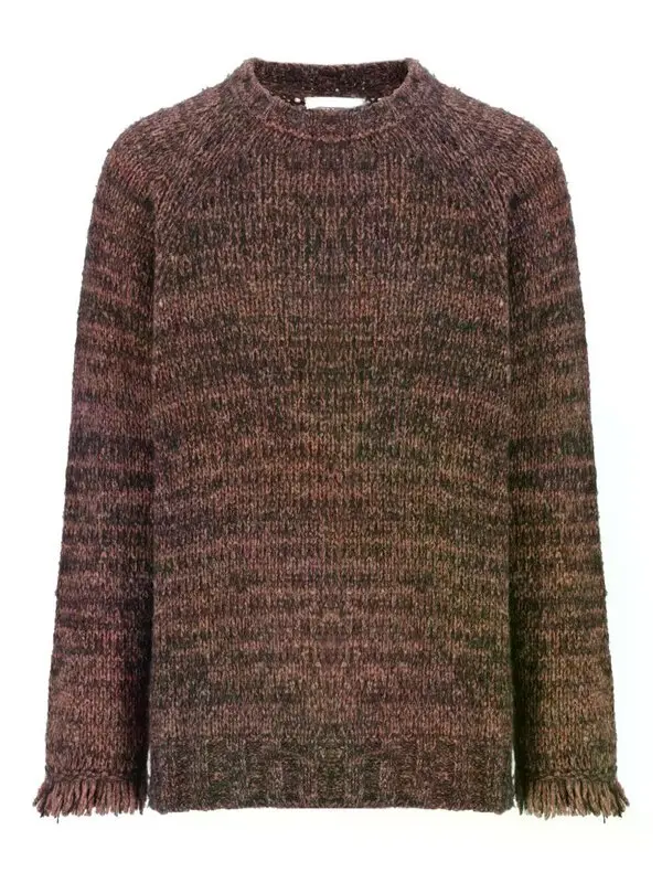 LANEUS Fringed Crew-neck Sweater