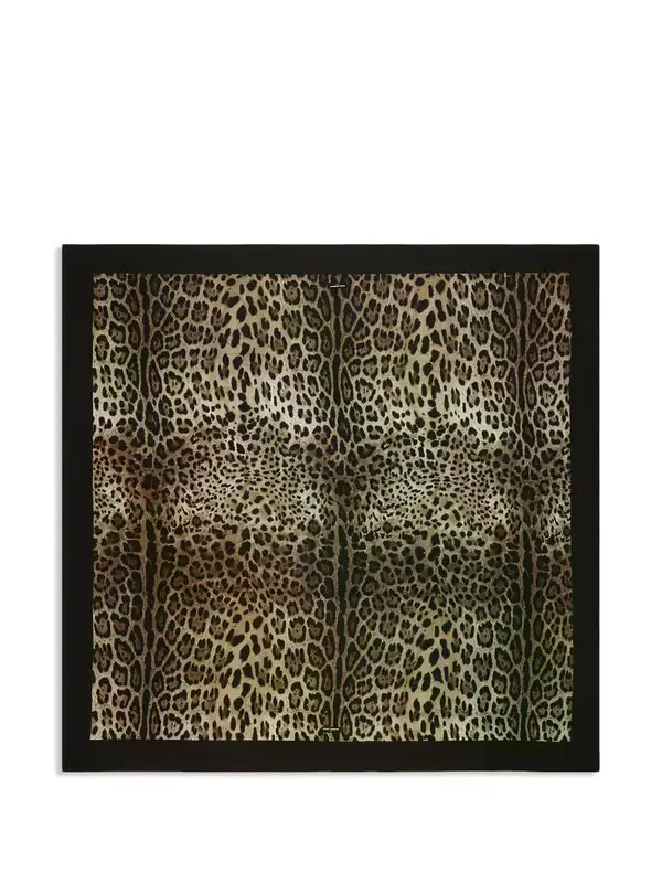 Dolce & Gabbana Leopard-print Throw - Brown
