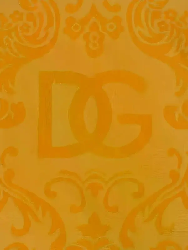 Dolce & Gabbana Dg-logo Cushion