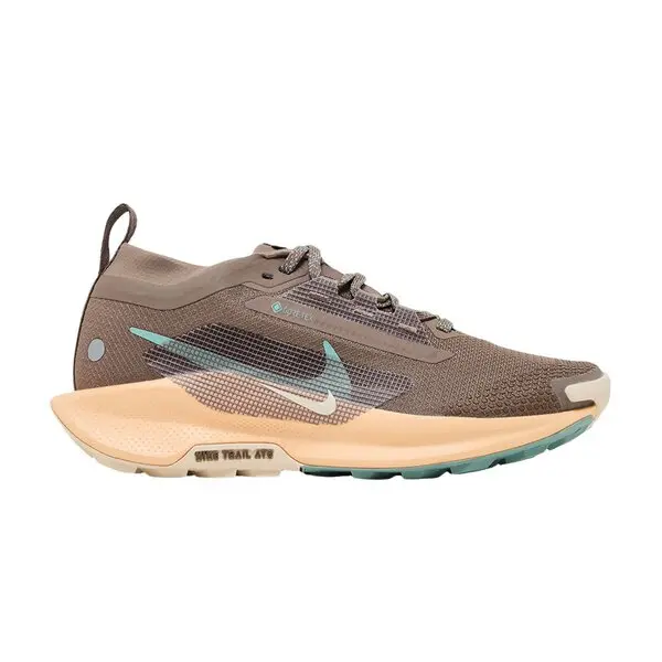 Nike Pegasus Trail Gore-tex - Brown