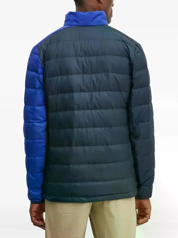 Adidas Terrex Color-blocked Jacket