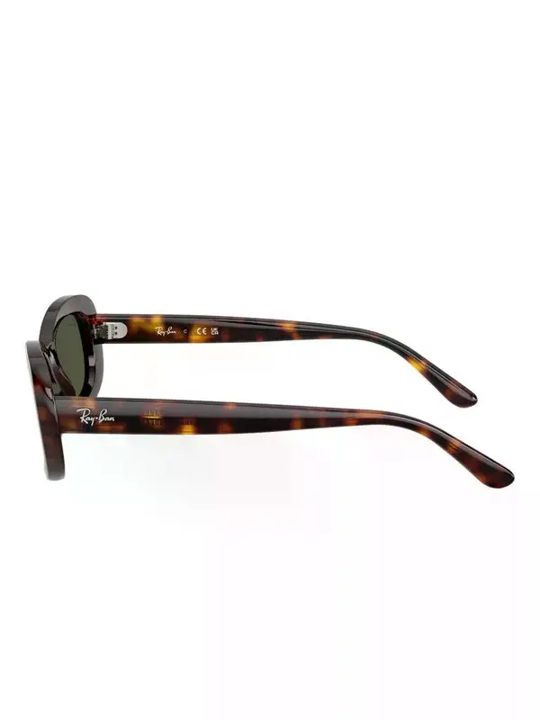 Ray-ban Oval-frame Sunglasses