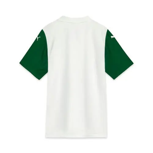 PUMA Se Palmeiras 2025/26 Away Replica Jersey