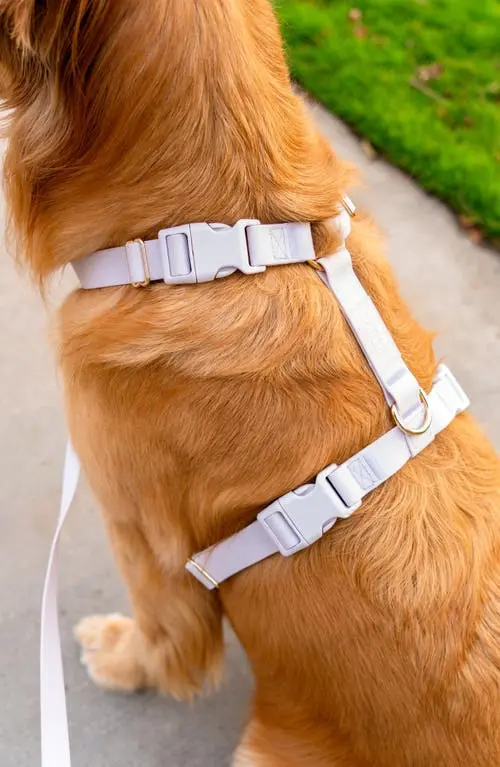 SUNNY TAILS Cloud Lite Waterproof Dog Harness - Lavender Haze