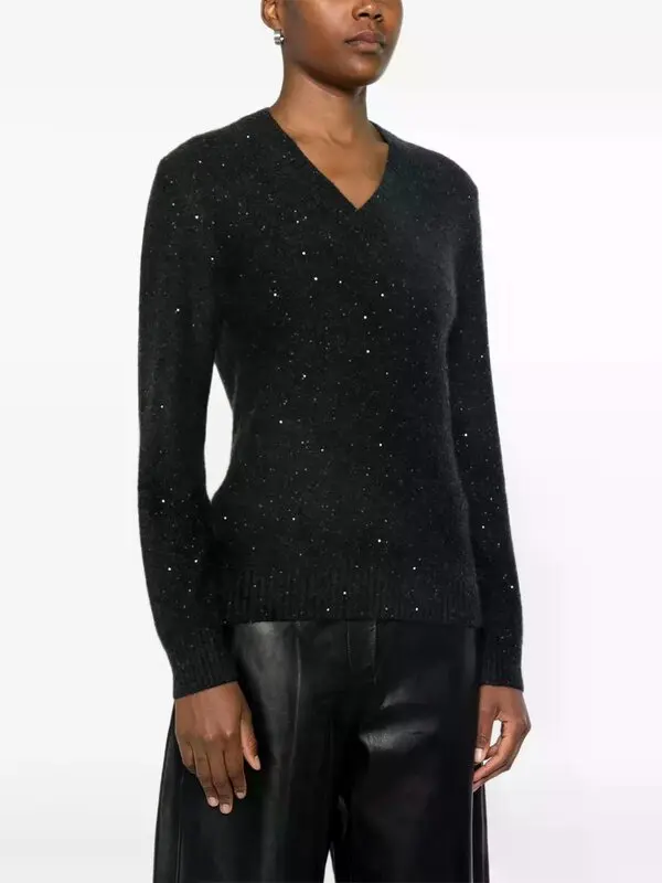 Fabiana Filippi Sequin-embellished V-neck Sweater