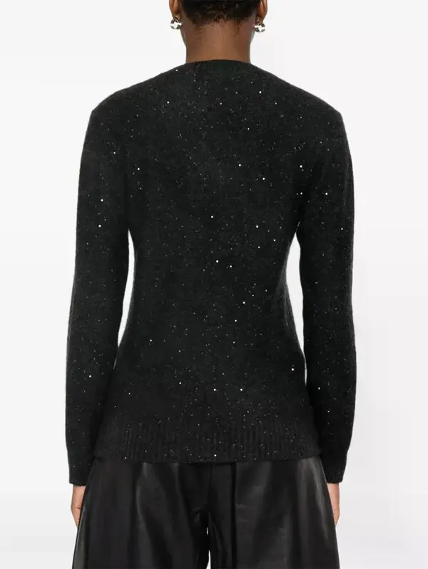Fabiana Filippi Sequin-embellished V-neck Sweater