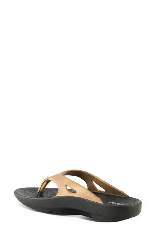 SPRING STEP SHOES Osmar Flip Flop - Bronze Multi