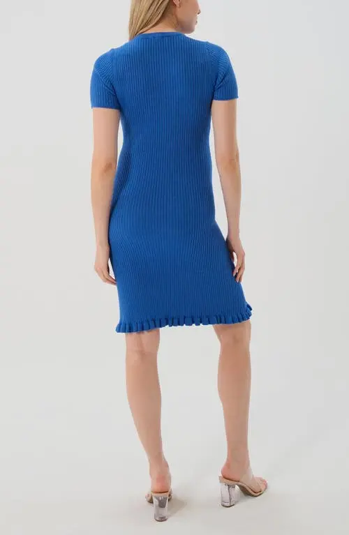 MARION Short Sleeve Knit Maternity Sweater Dress - Blue