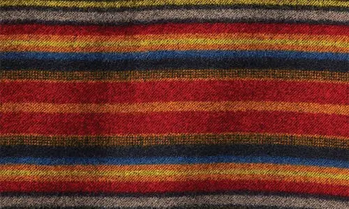 Pendleton 5th Avenue Park' Throw - Arcadia