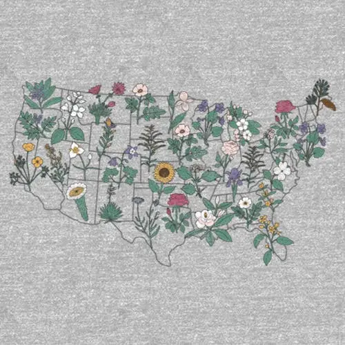 LOST GODS State Flower Map Graphic T-shirt