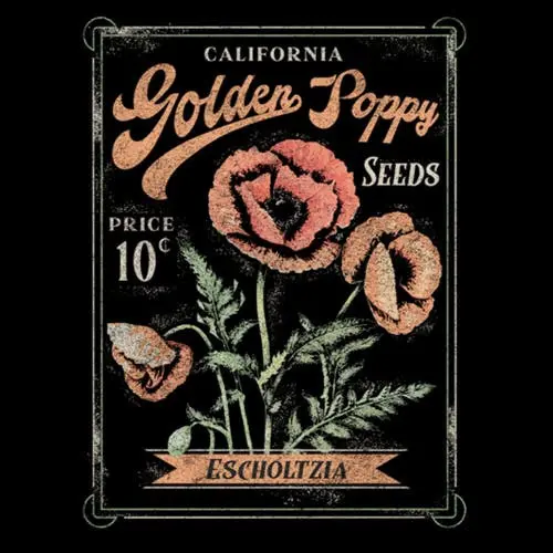 LOST GODS Graphic T-shirt