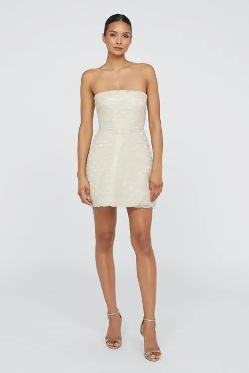 Theia Amanda Beaded Mini Dress