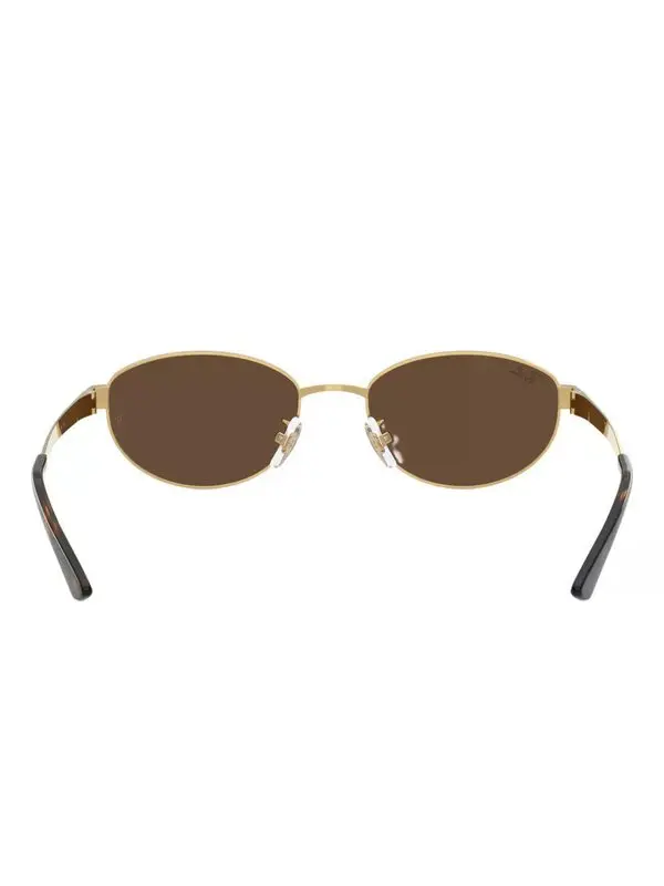 Ray-ban Oval-frame Tinted Sunglasses