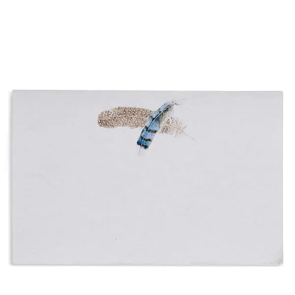 JULISKA Forest Walk Place Cards, Assorted Set Of 12