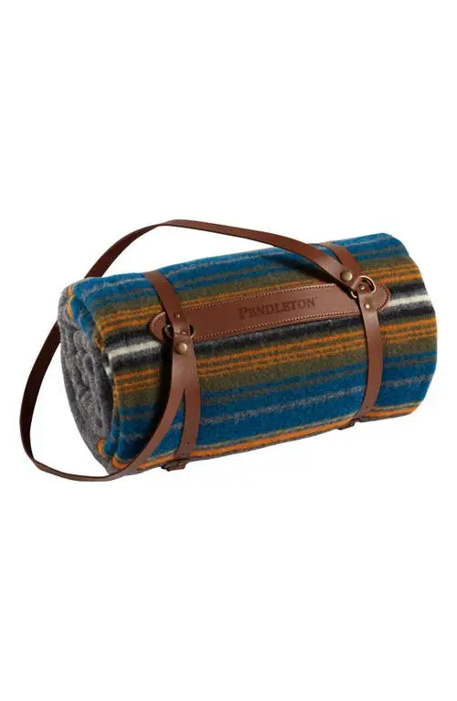 Pendleton National Park Stripe Throw Blanket & Carrier - Olympic