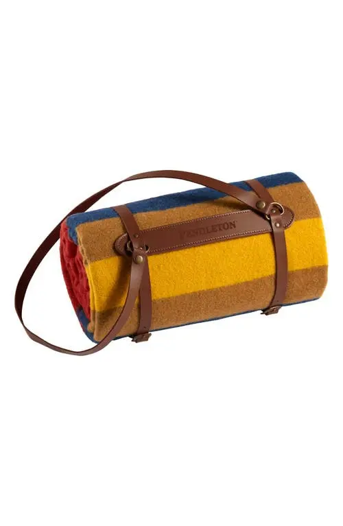 Pendleton National Park Stripe Throw Blanket & Carrier - Zion