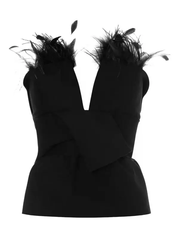 Alberta Ferretti Feather-trimmed Top