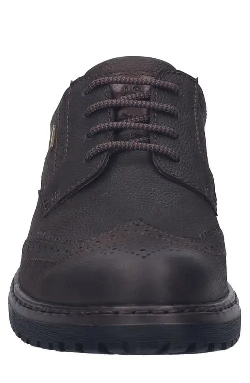 Josef Seibel Erroll Waterproof Wingtip Derby - Moro