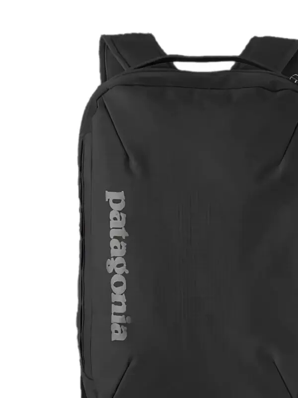 Patagonia Hole Micro Mlc 22l Backpack