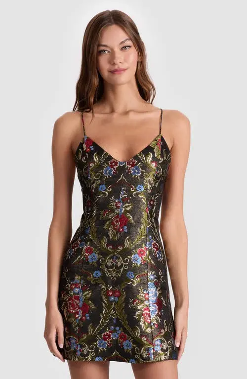 knee length dresses for ladies Alice + Olivia