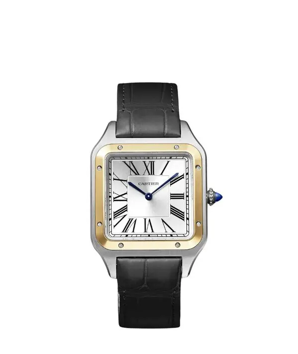 Cartier Santos-dumont Extra-large Hand-wound 46.6mm Watch - Silver