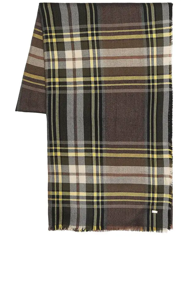 Saint Laurent Large Fringed Scarf In Brown - Brown & Dark Green