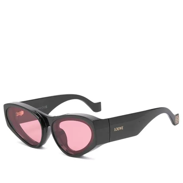 Loewe Paula's Ibiza Cat-eye Sunglasses - Black/rose