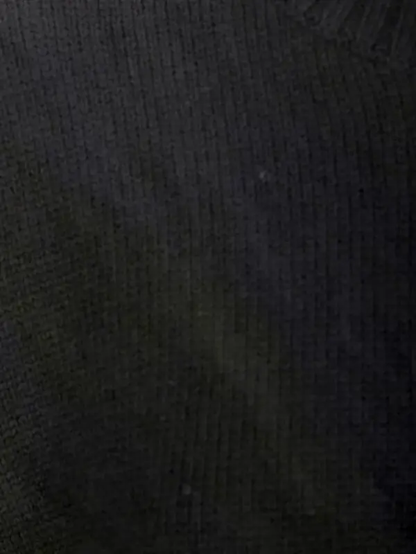 Labo.art Turtleneck Short-sleeve Sweater