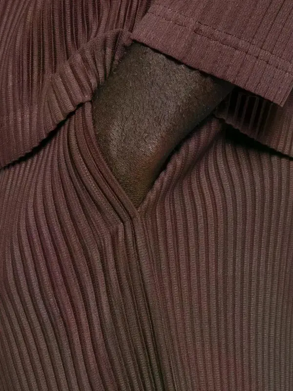 Issey Miyake Pleated Shorts - Brown