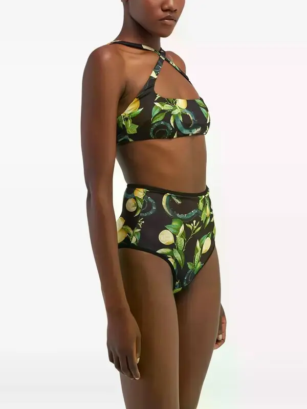 Roberto Cavalli Lemon-print Bikini Bottom