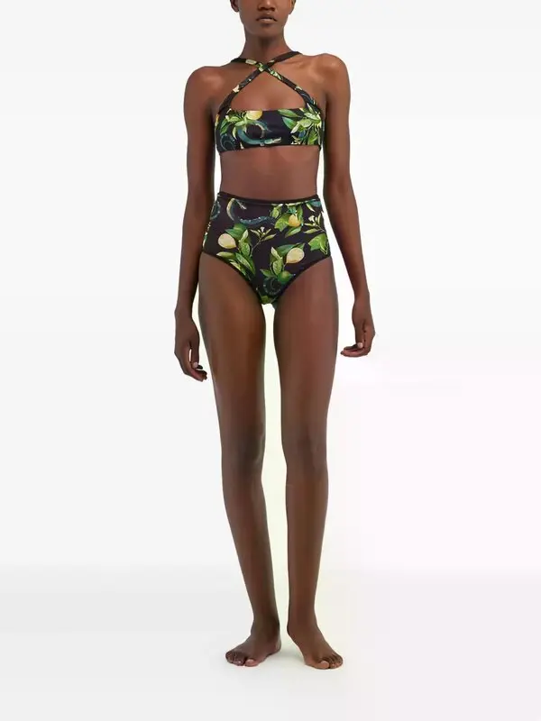 Roberto Cavalli Lemon-print Bikini Bottom