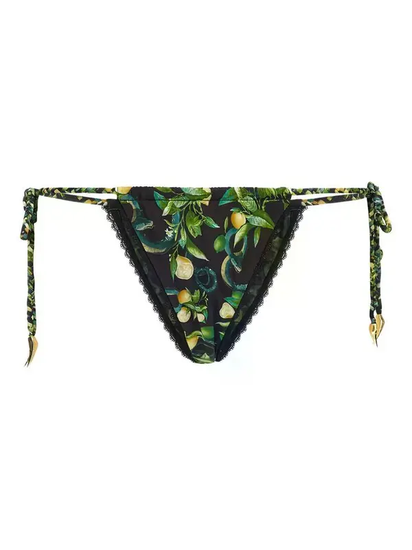 Roberto Cavalli Lemon-print Bikini Bottom - Black