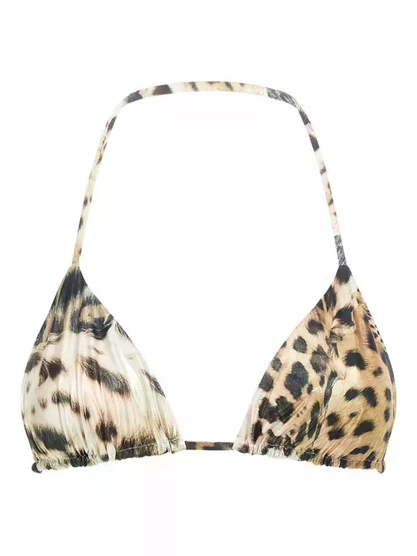 Roberto Cavalli Leopard-print Triangle Bikini Top - Brown
