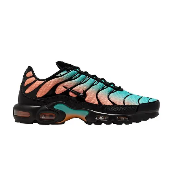 Nike Air Max Plus Sneakers