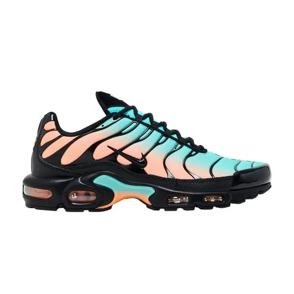 Nike Air Max Plus Sneakers - Black