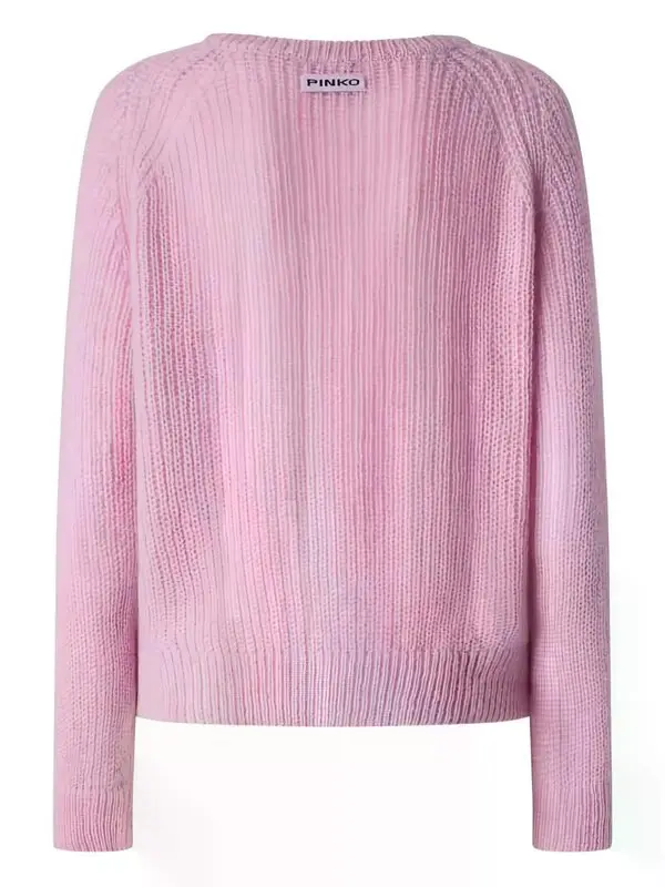 Pinko Raglan-sleeve Sweater