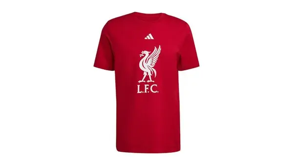 Adidas Liverpool Fc Dna Graphic Tee Shirt - Strawberry Red